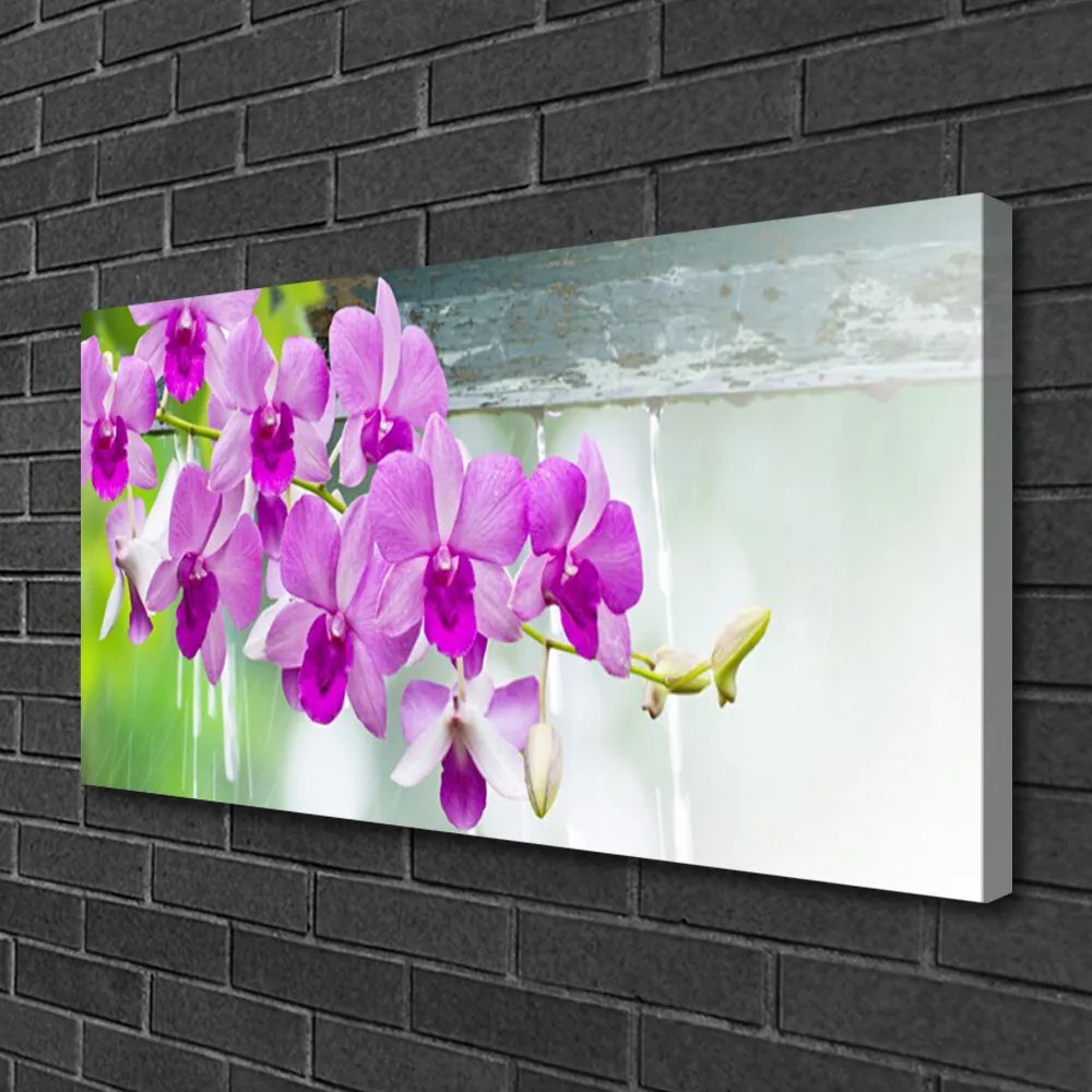 Obraz na plátně Orchideje Kapky Příroda 100x50 cm