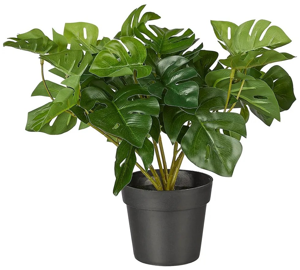 Butlers FLORISTA Monstera v květináči 25 cm