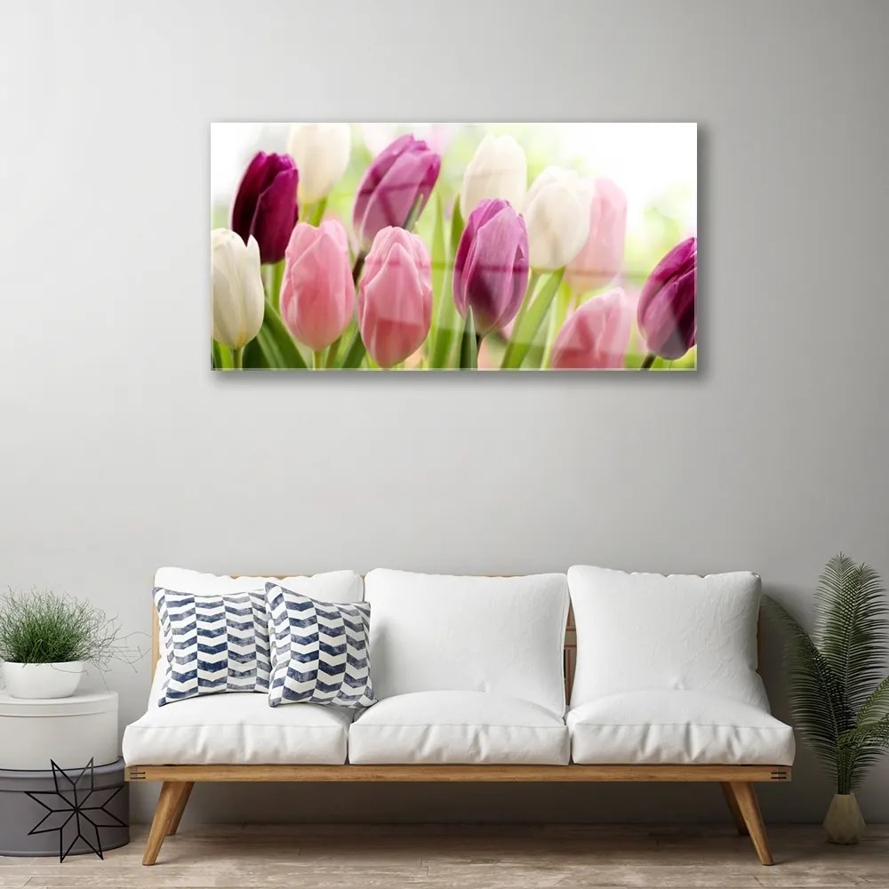 Obraz na skle Tulipány Květiny Příroda Louka 120x60 cm