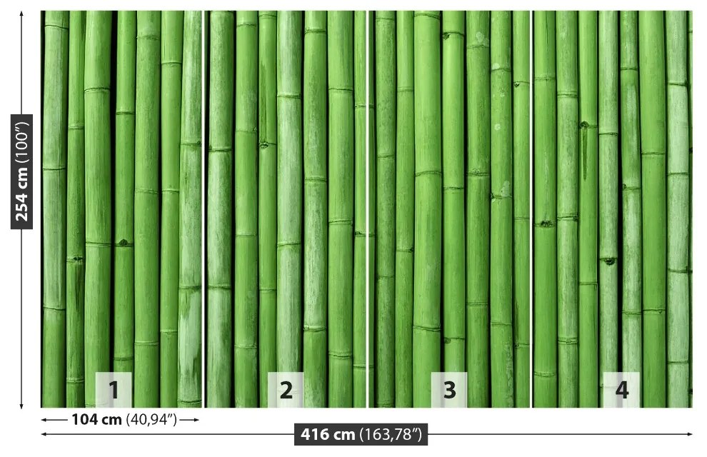 Fototapeta Bambusová zelená 104x70