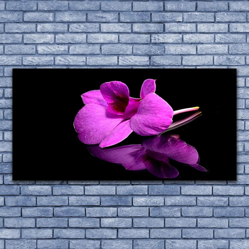 Plexisklo-obraz Květiny Mtvá Příroda 120x60 cm