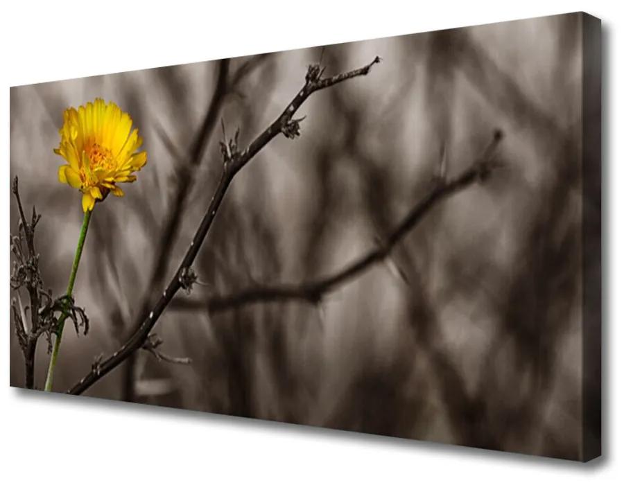 Obraz na plátně Větev Květ 100x50 cm