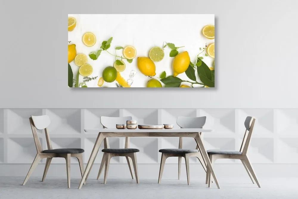 Obraz mix citrusových plodů - 120x60 cm