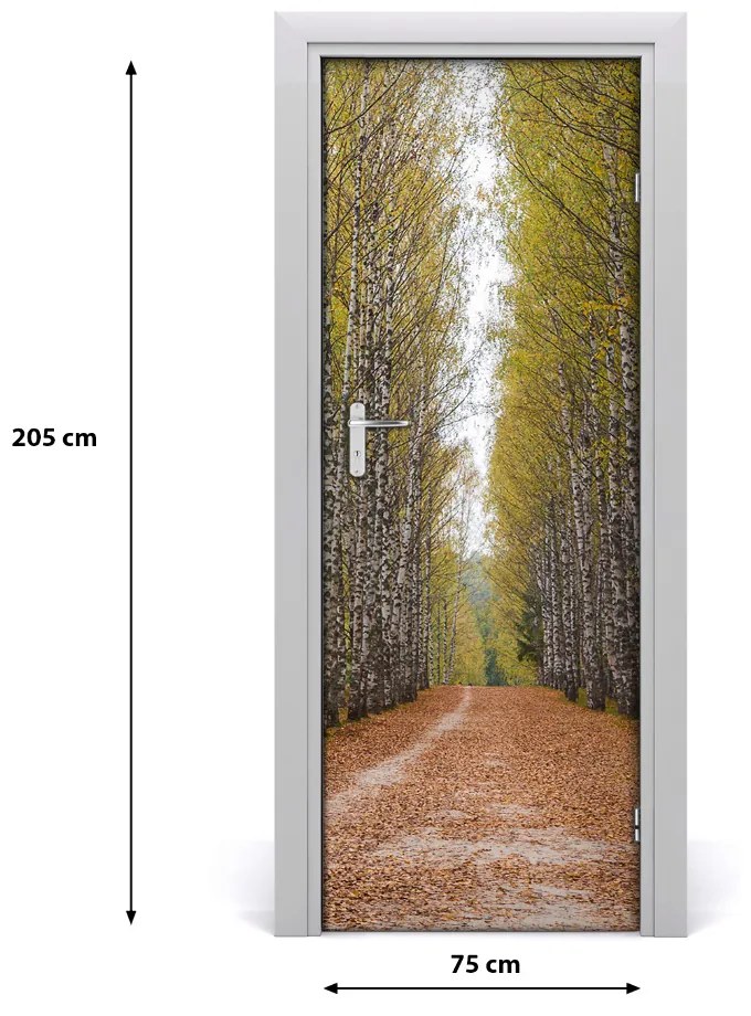 Fototapeta na dveře samolepící břízový les 75x205 cm