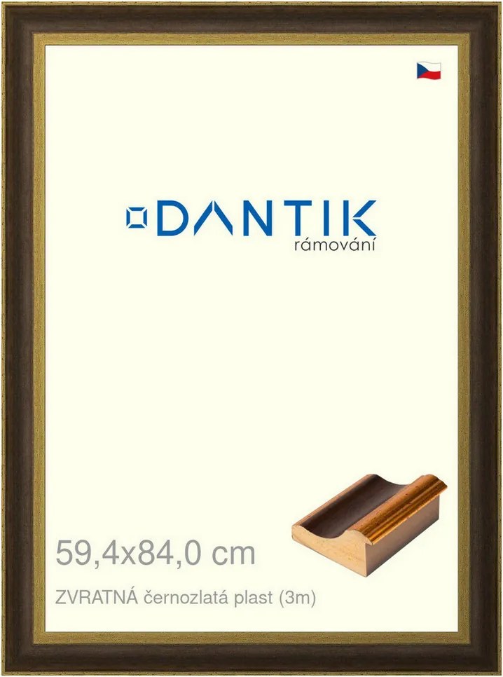 DANTIK rámeček 59,4x84 | ZVRATNÁ černozlatá plast (Plexi Čiré)