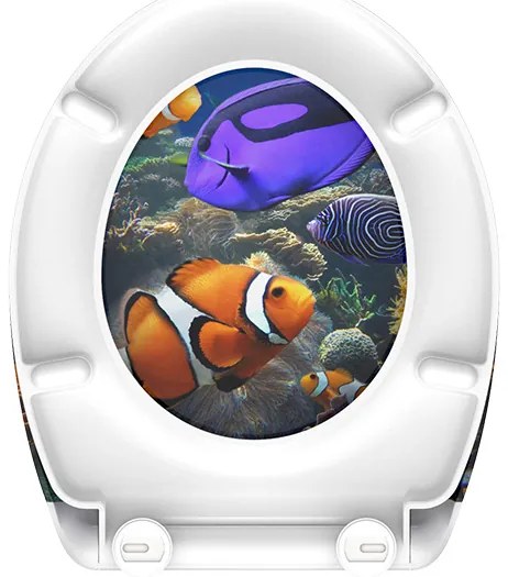 Eisl Sanitär WC prkénko Duroplast Soft Close Sea Life 82372