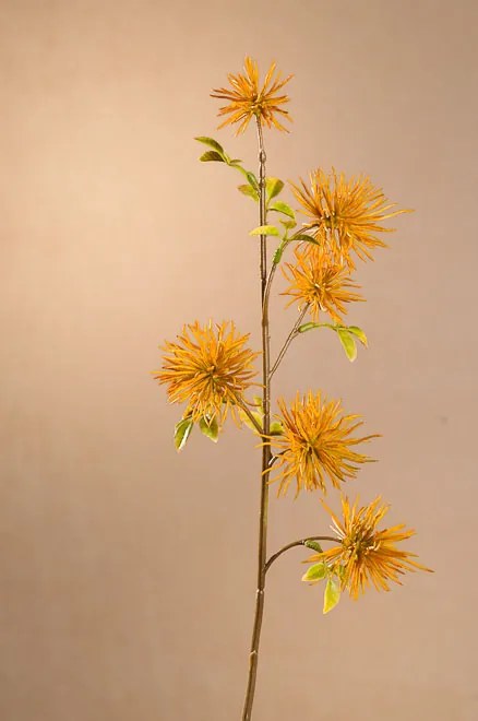 Paramit DRY MINI XANTHIUM Aranžovací květina žlutá 53 cm