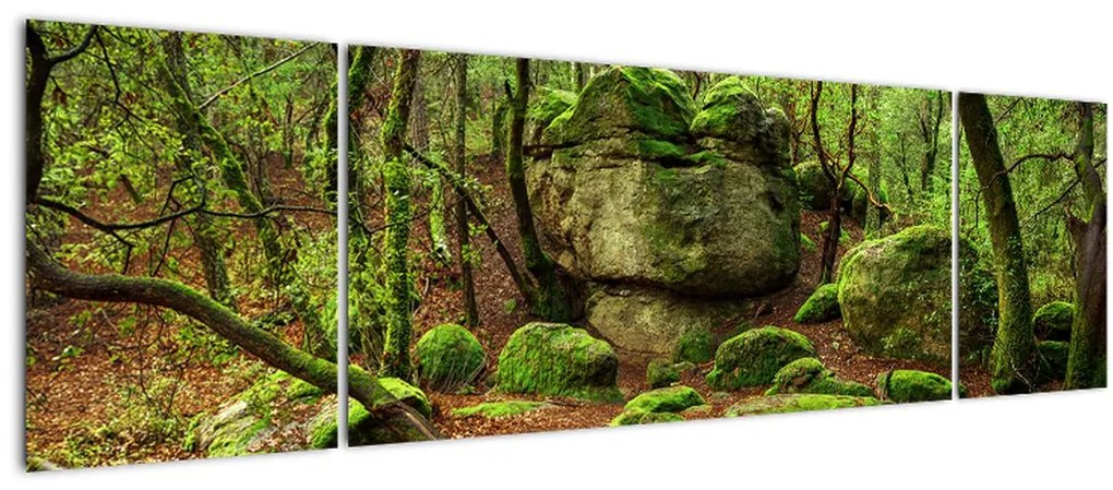 Obraz kouzelného lesa (170x50 cm)