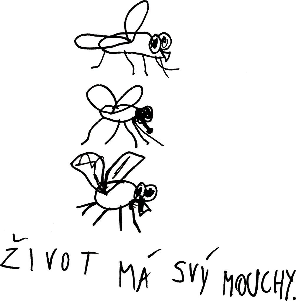 Honza Doležal / Zápisky umělce | Život má svý mouchy Rám: Bez rámu, Velikost: 40 x 40 cm