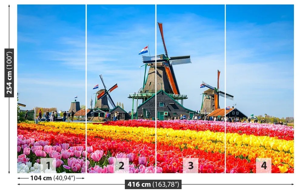 Fototapeta Tulipány Větrné mlýny 104x70