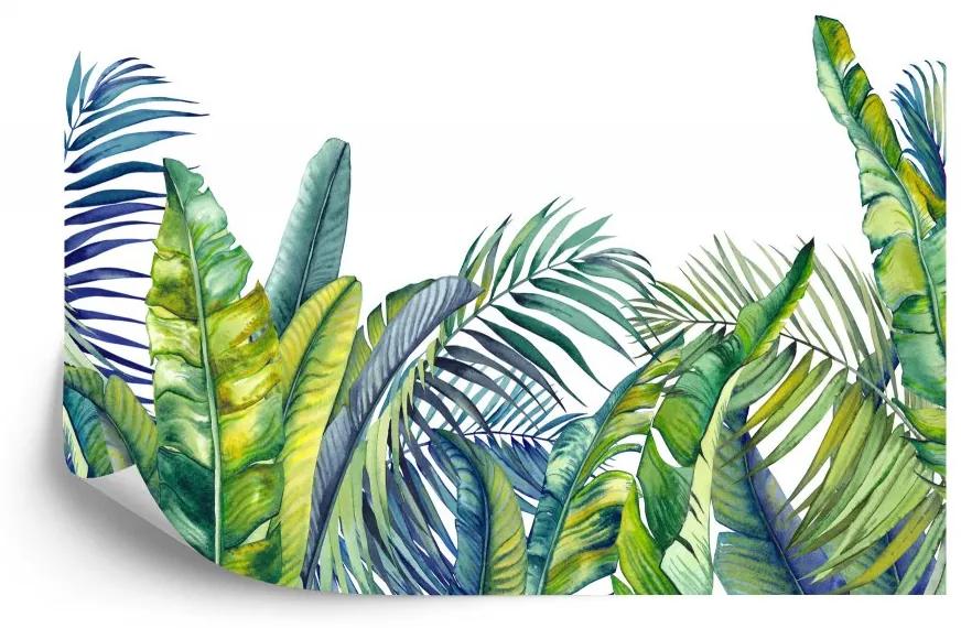 Fototapeta Zelené A Modré Tropické Rostliny Vliesová tapeta 416x290