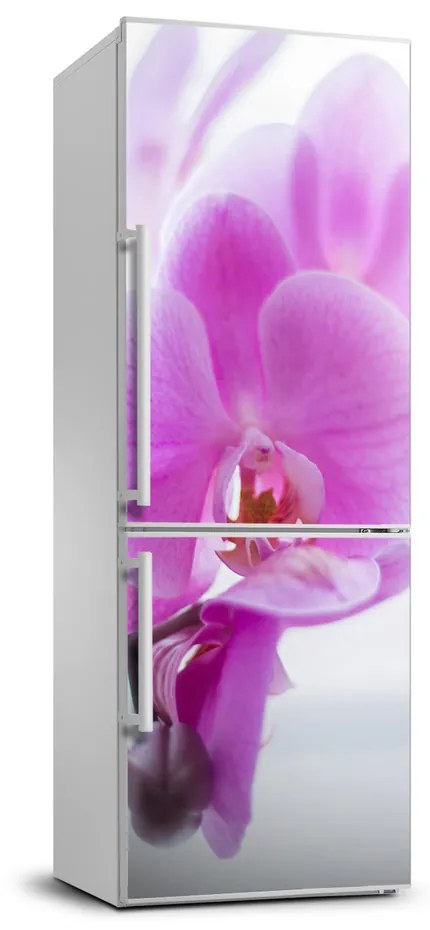 Wallmuralia Foto tapeta na ledničku Růžová orchidej 60x180 cm