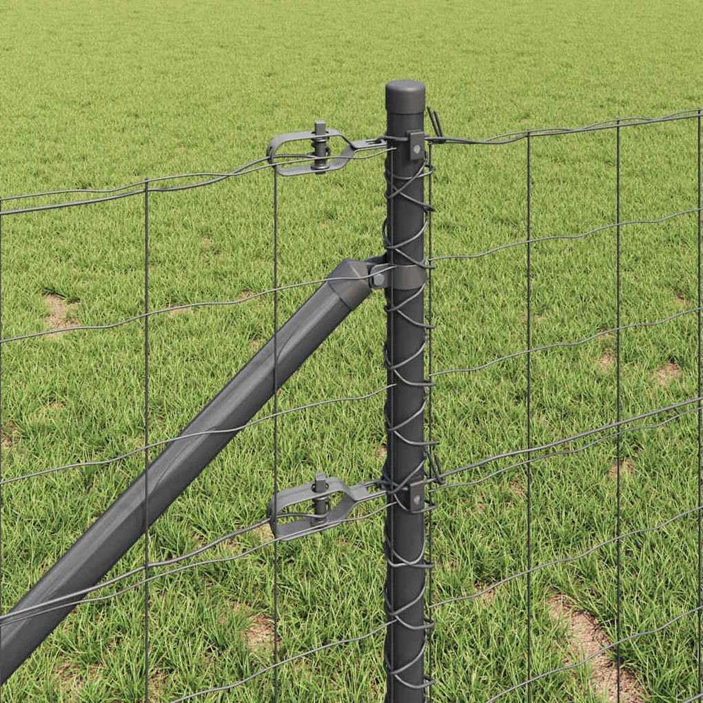 Evropský plot se hroty 25 x 0,8 m Ocel potažená PVC Šedá 3350688