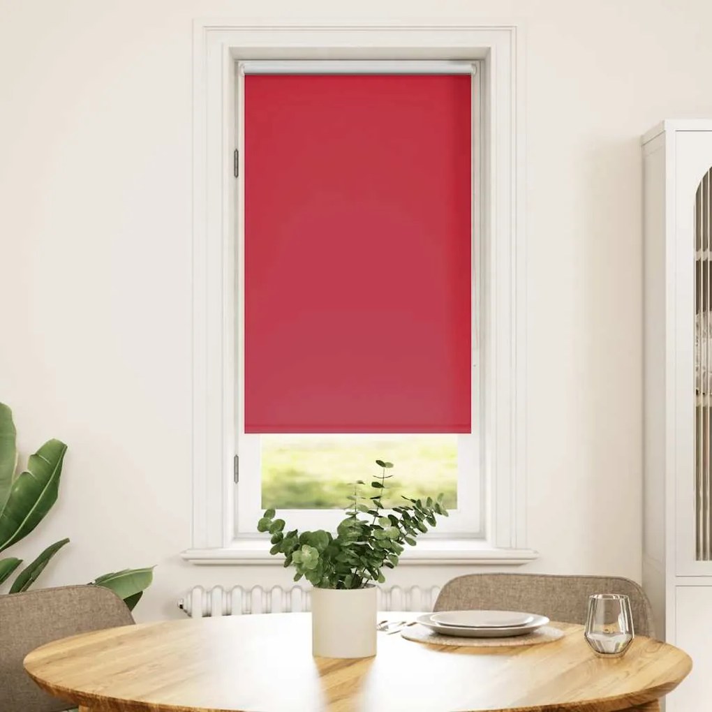 Zatemňovací roleta 60x120 cm červená 240744