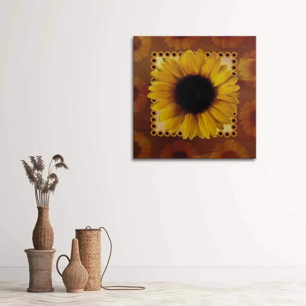 Obraz na plátně Slunečnicové květy žluté - 50x50 cm