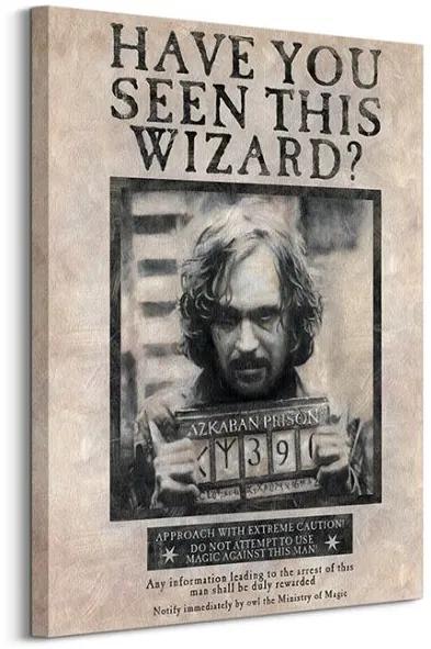 Obraz na plátně Harry Potter (Wanted Sirius Black) 60x80cm WDC99435