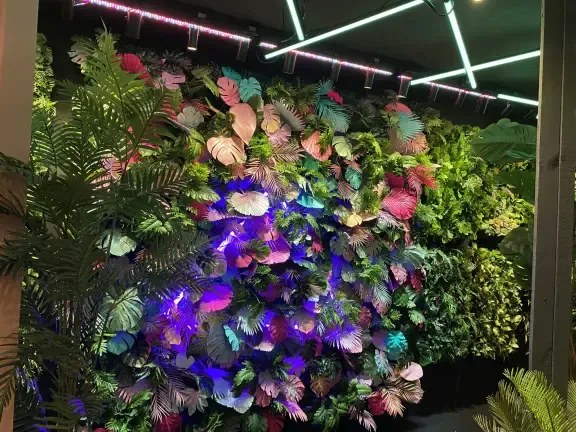 Vertical garden Mamba