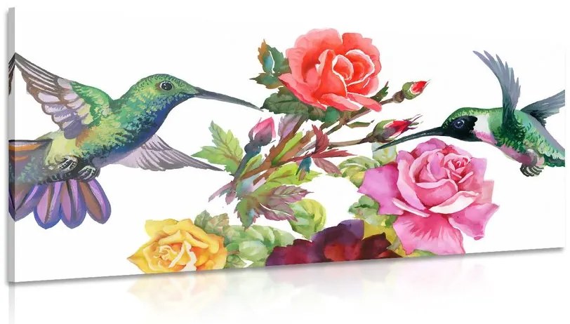 Obraz kolibříci s květinami Varianta: 120x60