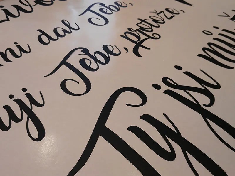 Miluji život samolepka na zeď 100 x 60 cm