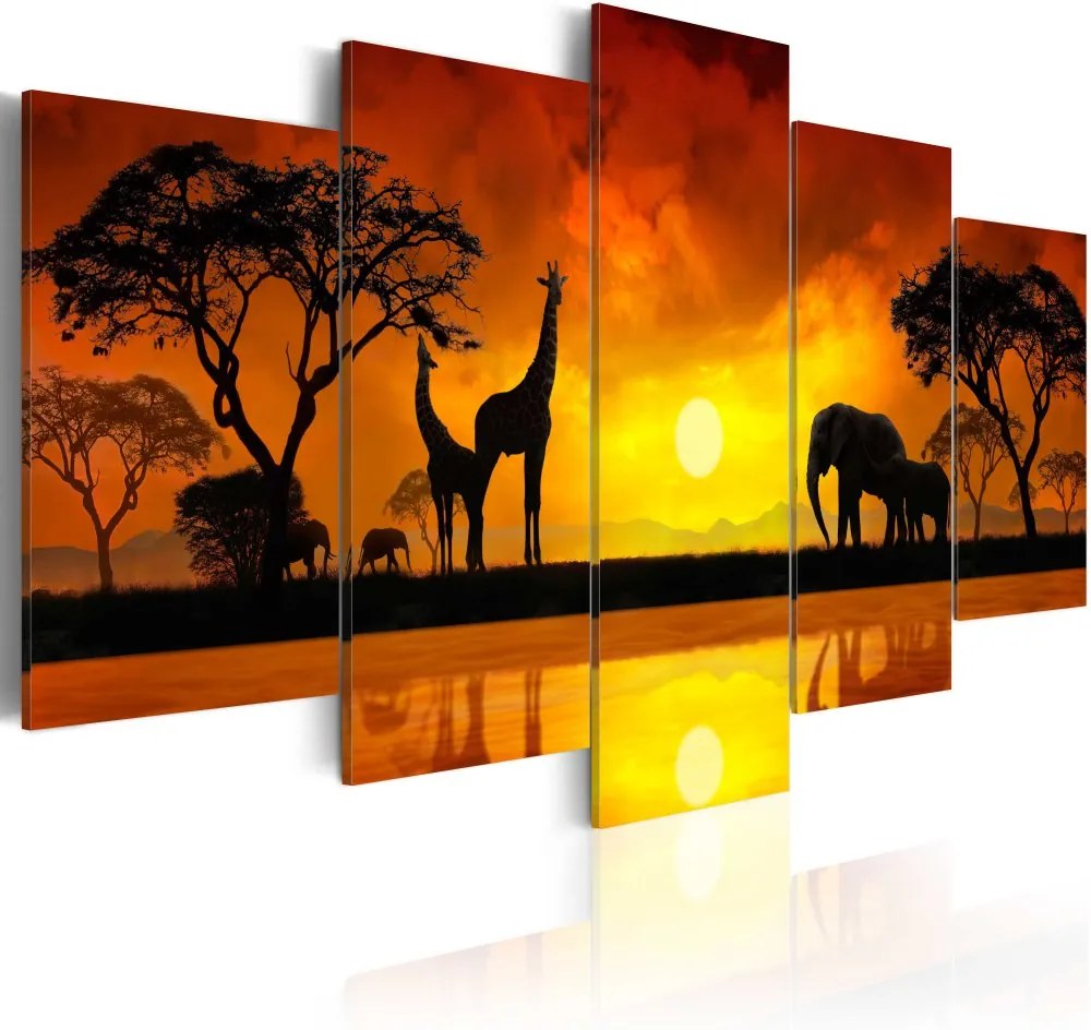 Obraz na plátně Bimago - Savanna - sunset 100x50 cm