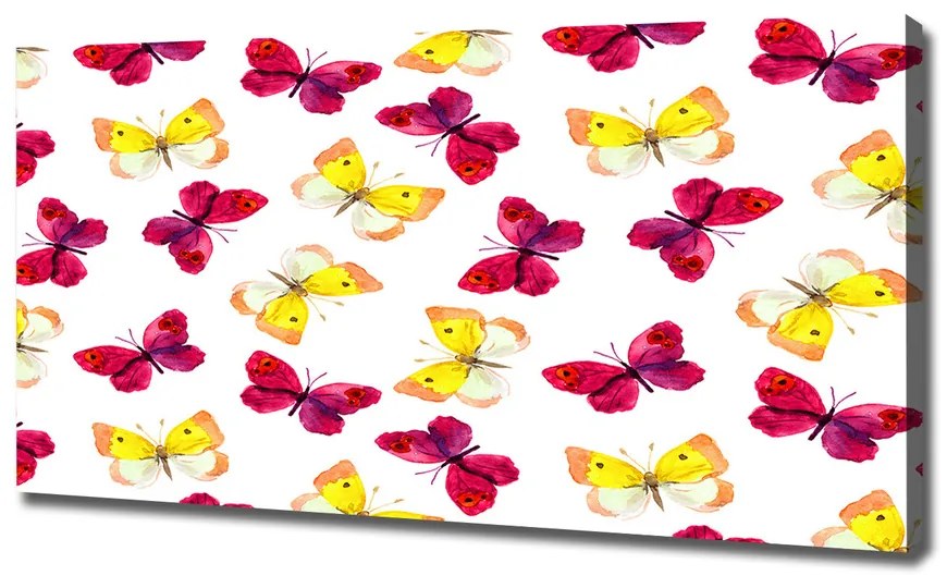 Wallmuralia Foto obraz na plátně Motýli a květiny 120x60 cm