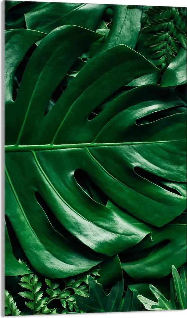 Skleněná Krájecí Deska 30x52 Monstera Do Kuchyně