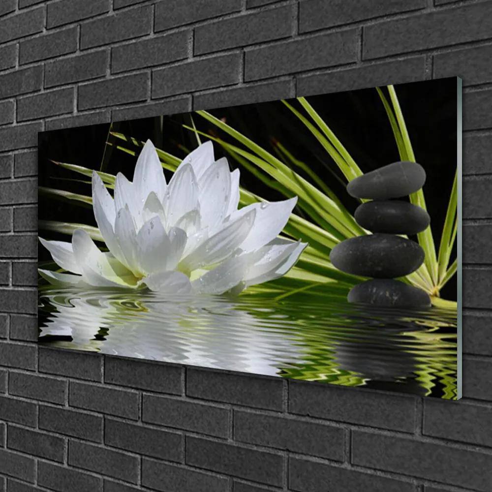 Obraz na skle Květiny Kameny Zen Voda 100x50 cm