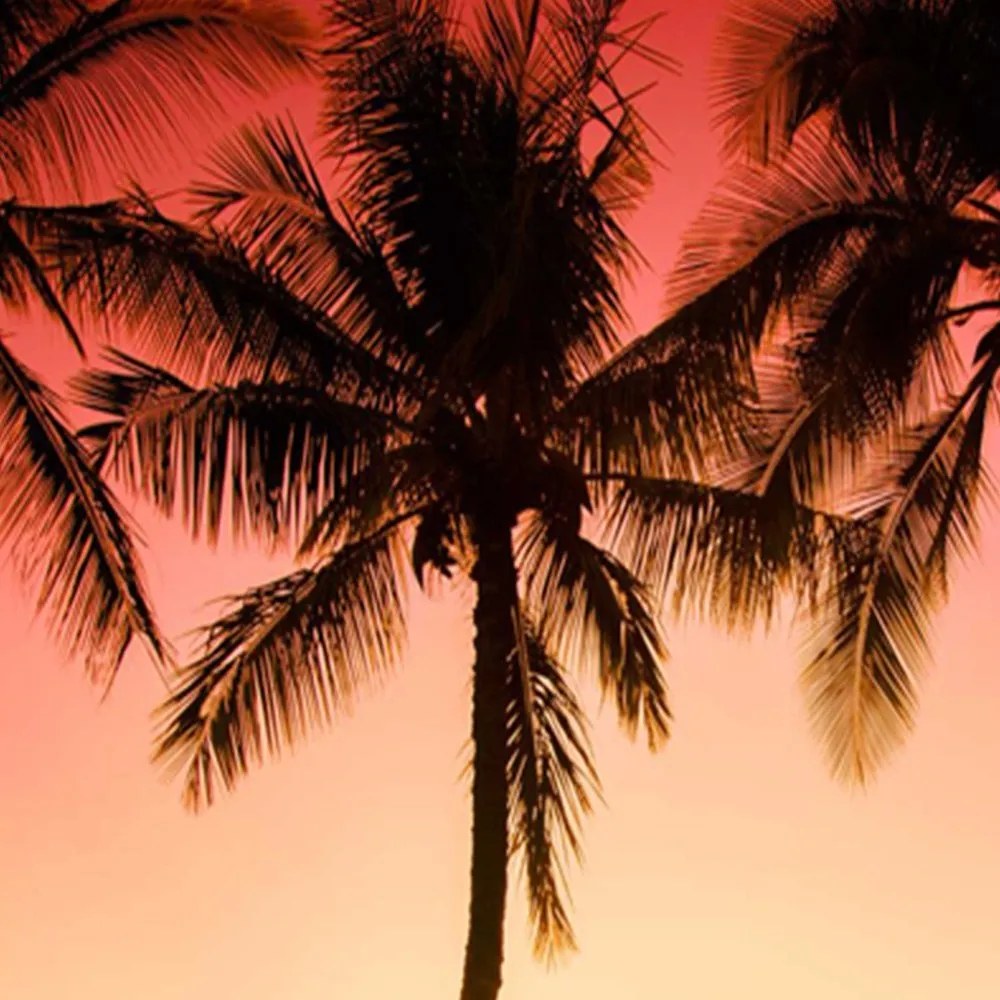 Ozdobný paraván Palm Beach Sun - 180x170 cm, pětidílný, obustranný paraván 360°