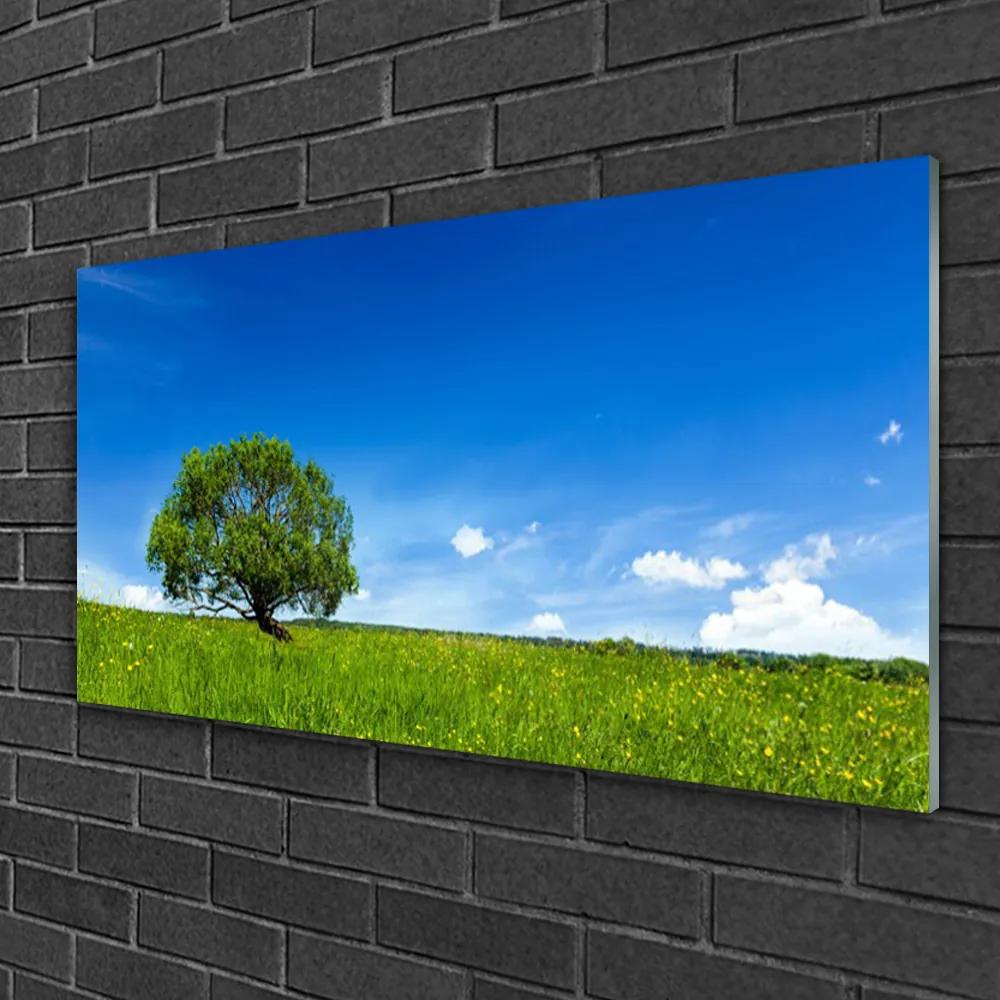 Obraz na skle Tráva Strom Příroda 125x50 cm