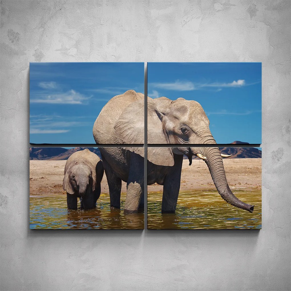 4-dílný obraz - Sloni - PopyDesign