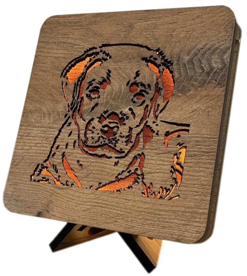 Li-Go "Štěně" lampa 19x19cm provedení povrchu: dub světlý