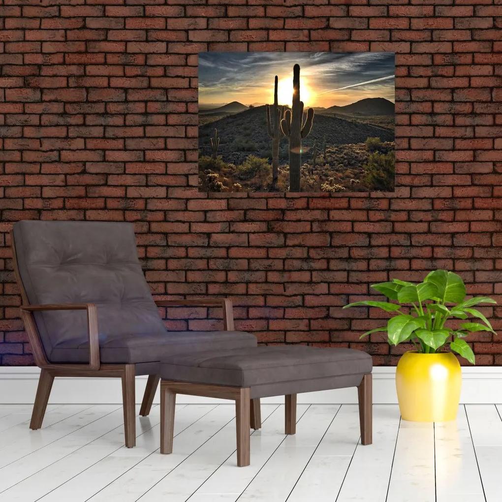 Skleněný obraz - kaktusy ve slunci (70x50 cm)