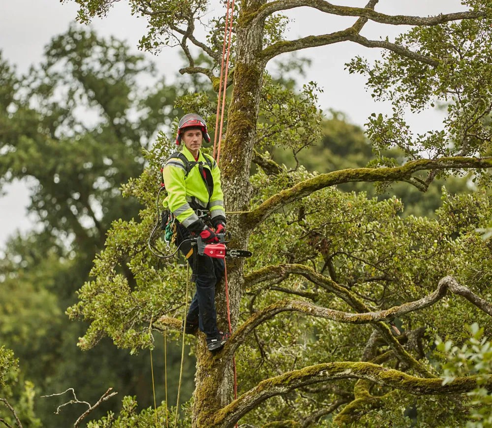 CRAMER 82TCS15 akumulátorová vyvětvovací řetězová pila