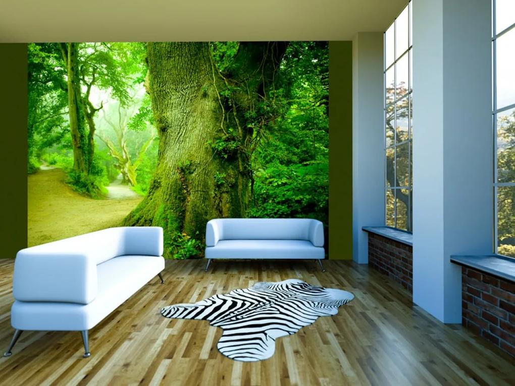 Fototapeta stromy + lepidlo ZDARMA Velikost (šířka x výška): 150x116 cm