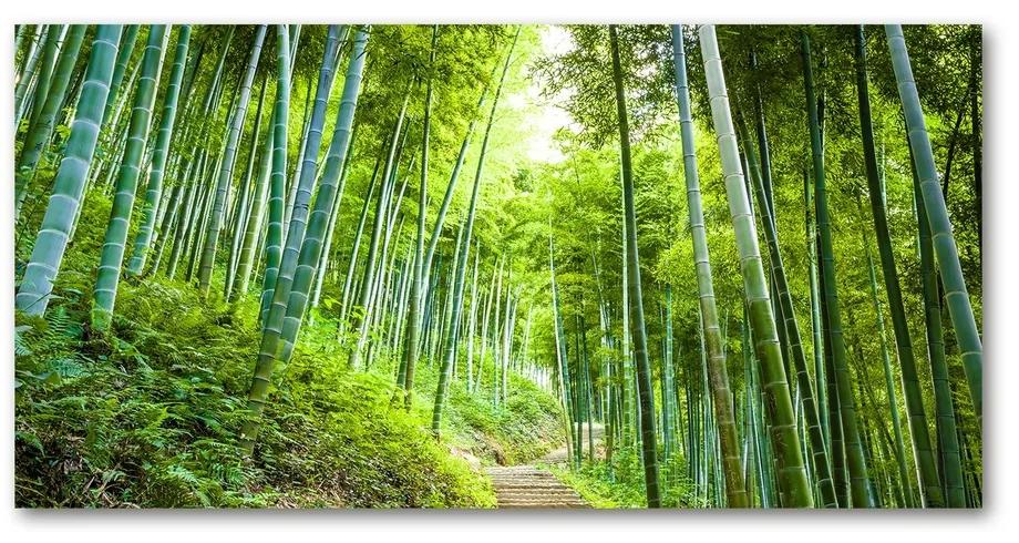 Wallmuralia Foto obraz akrylové sklo Bambusový les 120x60 cm