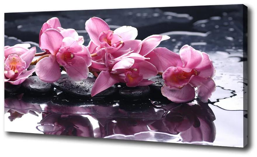 Wallmuralia Foto obraz na plátně do obýváku Růžová orchidej 100x50
