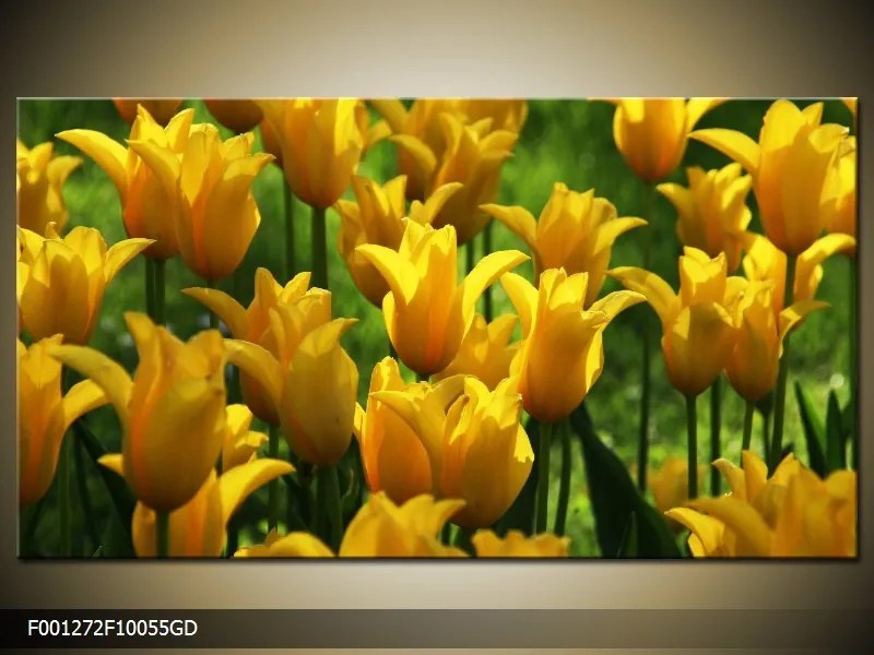 Obraz žlutých květin (), 40 dalších rozměrů