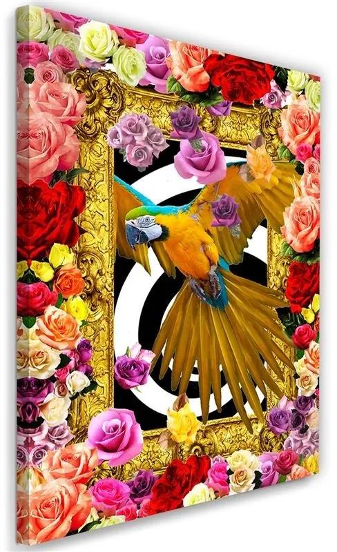 Obraz na plátně, Papoušek Barevné květiny Růže - 60x90 cm