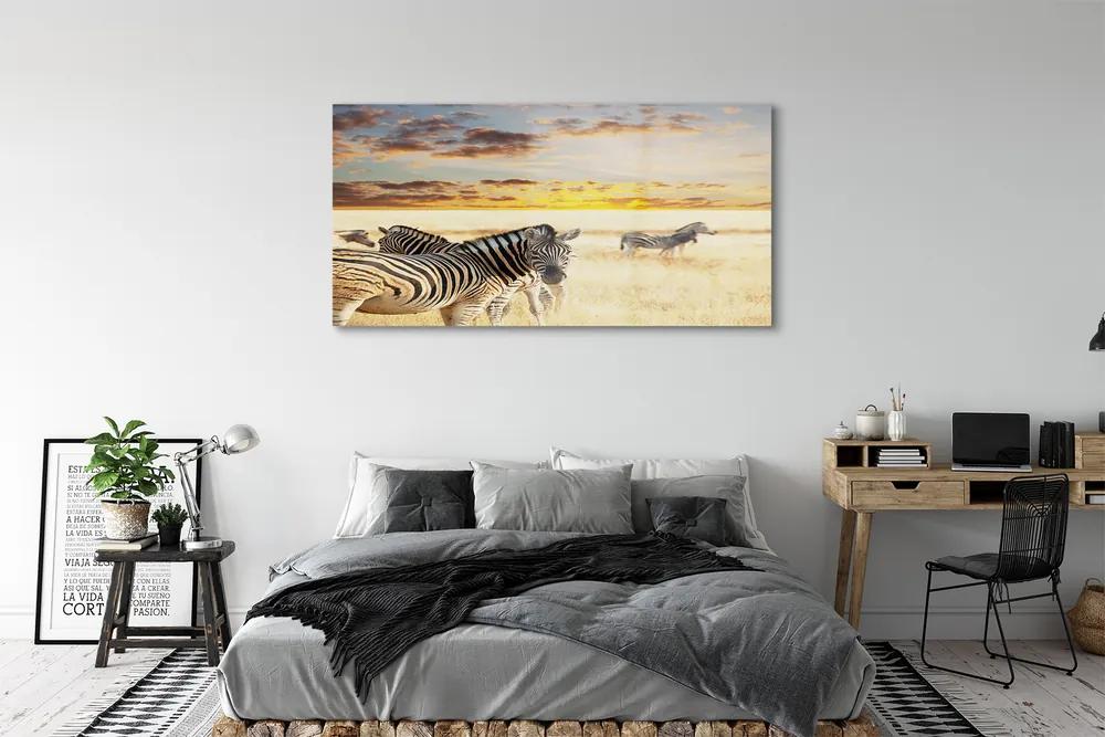 akrylový obraz Zebry pole sunset 140x70 cm