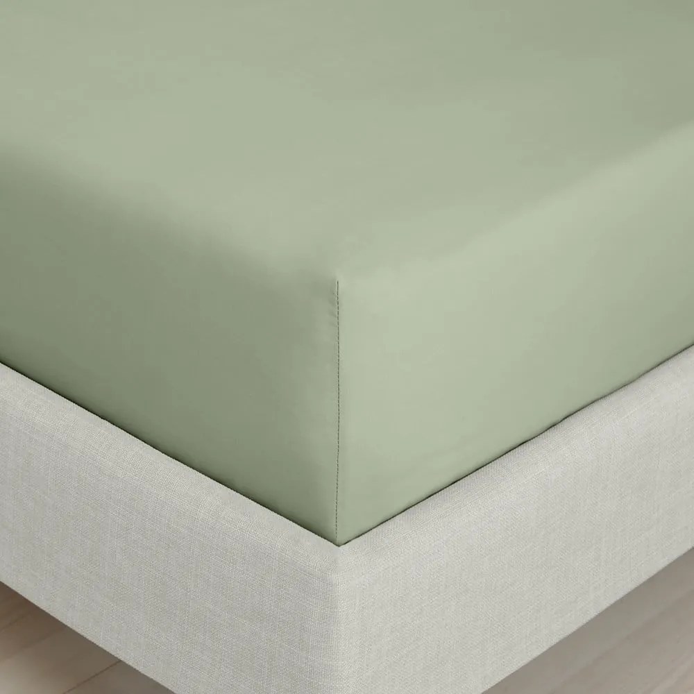 Zelené napínací prostěradlo z bavlněného perkálu 90x190 cm Cotton Percale – Bianca