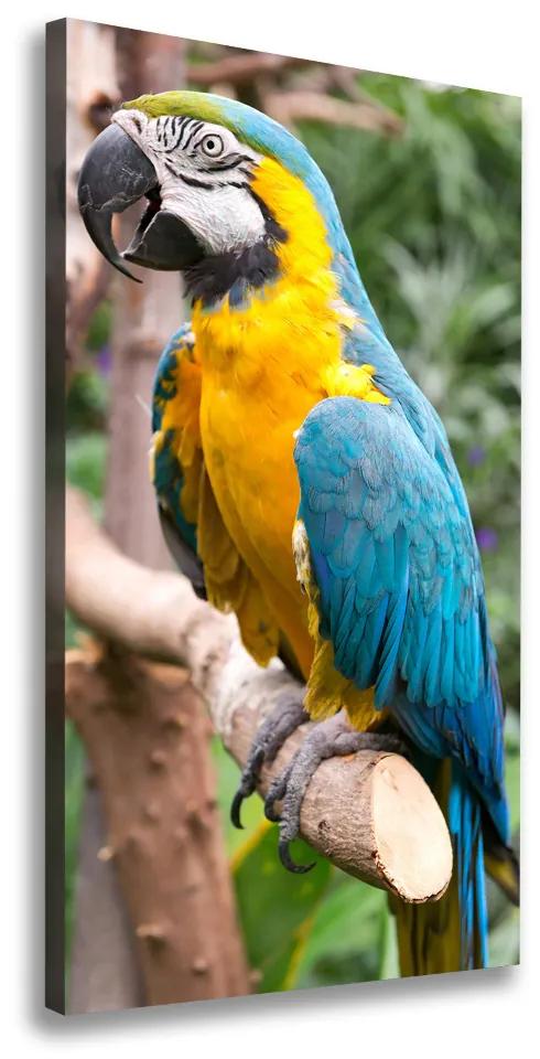 Wallmuralia Vertikální Vertikální Foto obraz na plátně do obýváku Papoušek Ara 50x100
