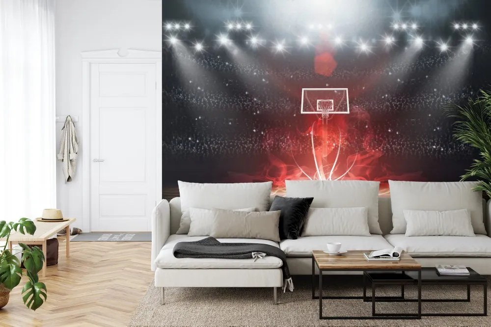 Fototapeta Futuristické Basketbalové Hřiště Hladký vinyl 400x280