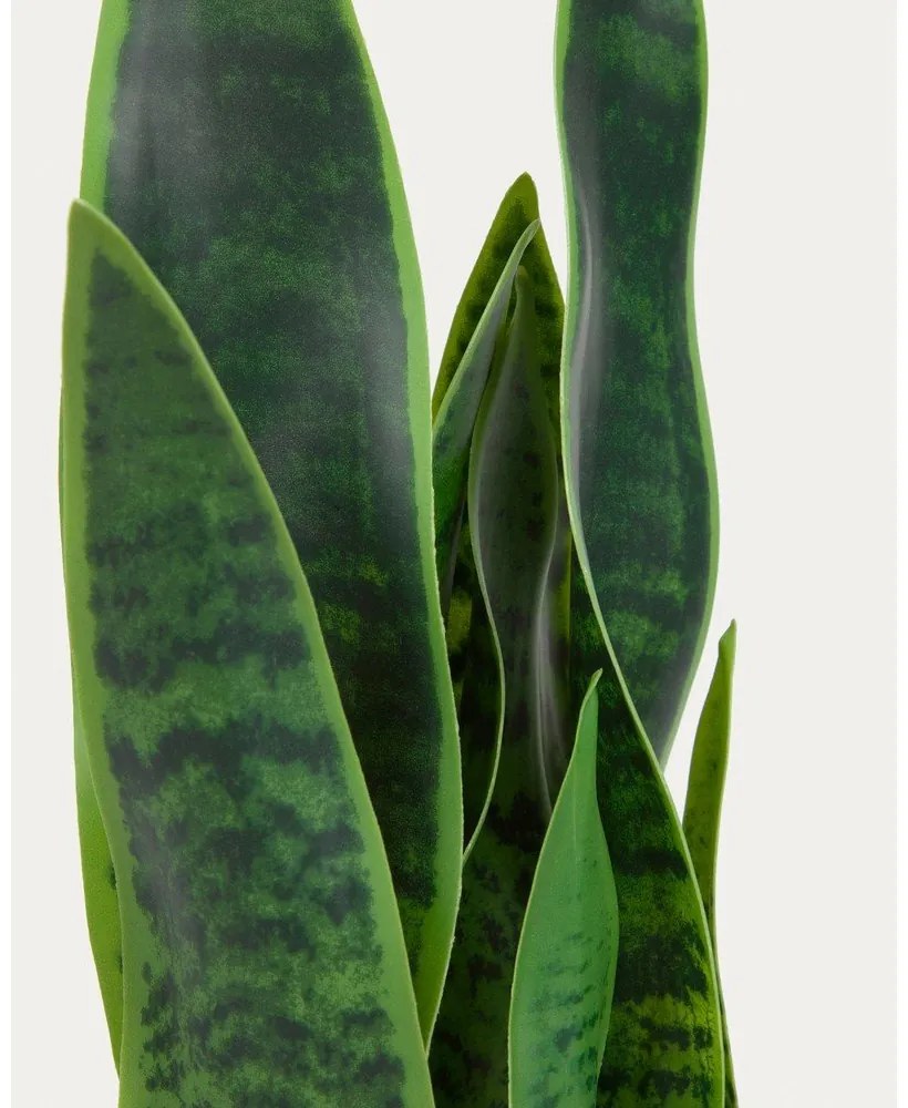 Umělá rostlina (výška 55 cm) Sansevieria – Kave Home