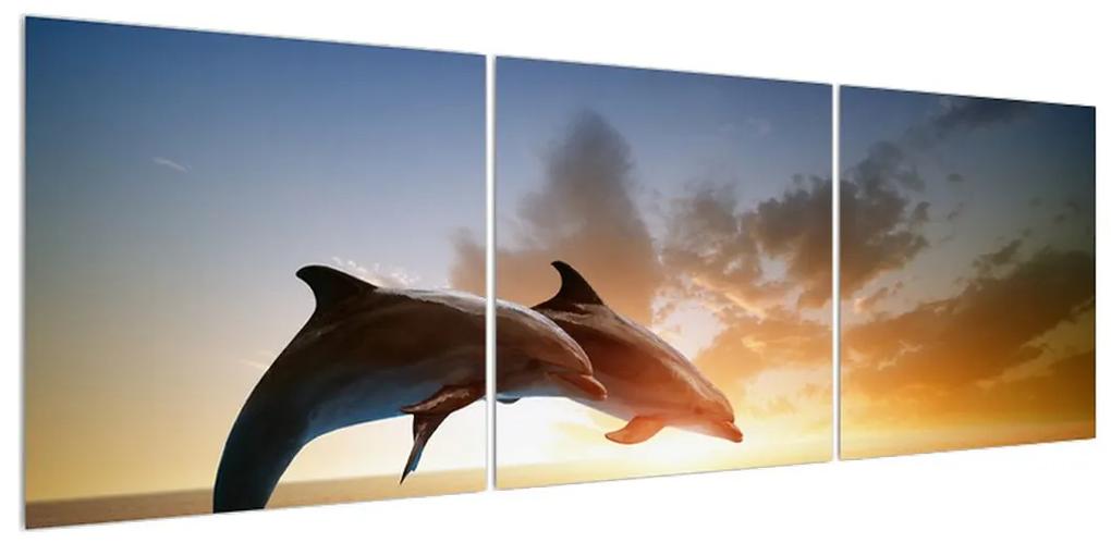 Obraz delfínů (150x50 cm)