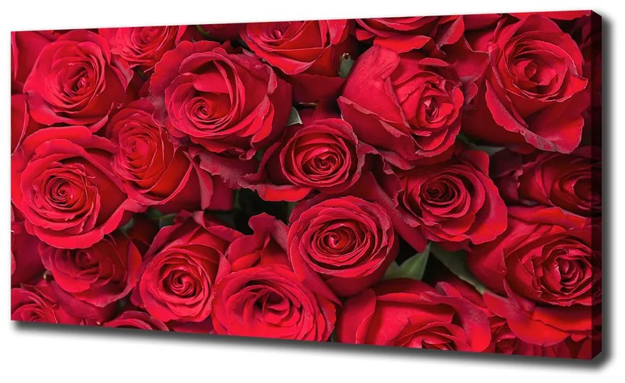 Wallmuralia Foto obraz na plátně Červené růže 140x70 cm