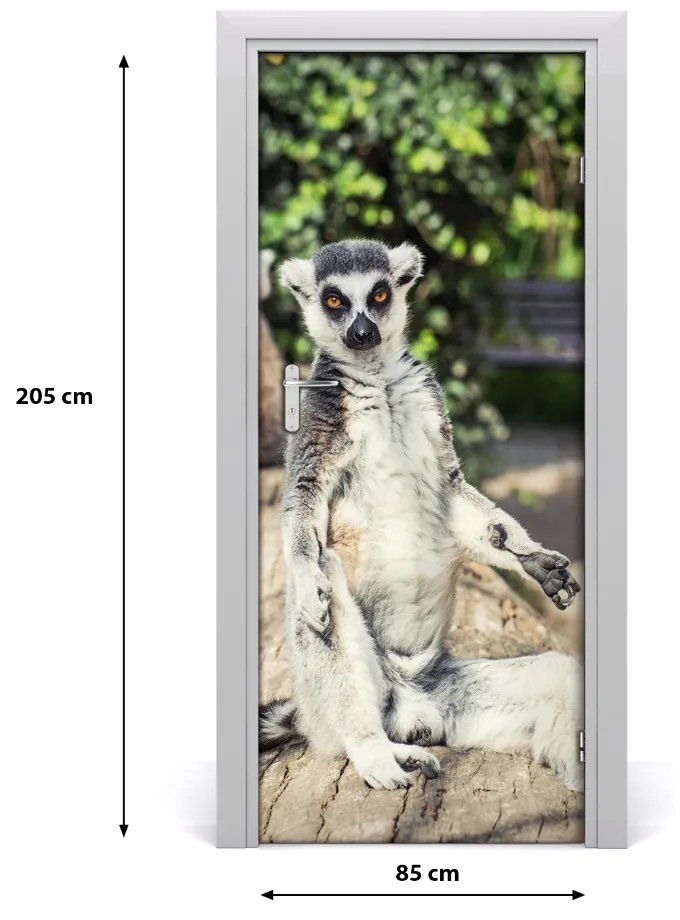 Samolepící fototapeta na dveře Lemur 85x205 cm