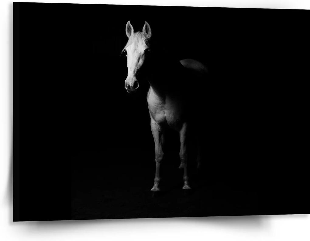 Obraz SABLO - Kůň ve stínu 60x40 cm