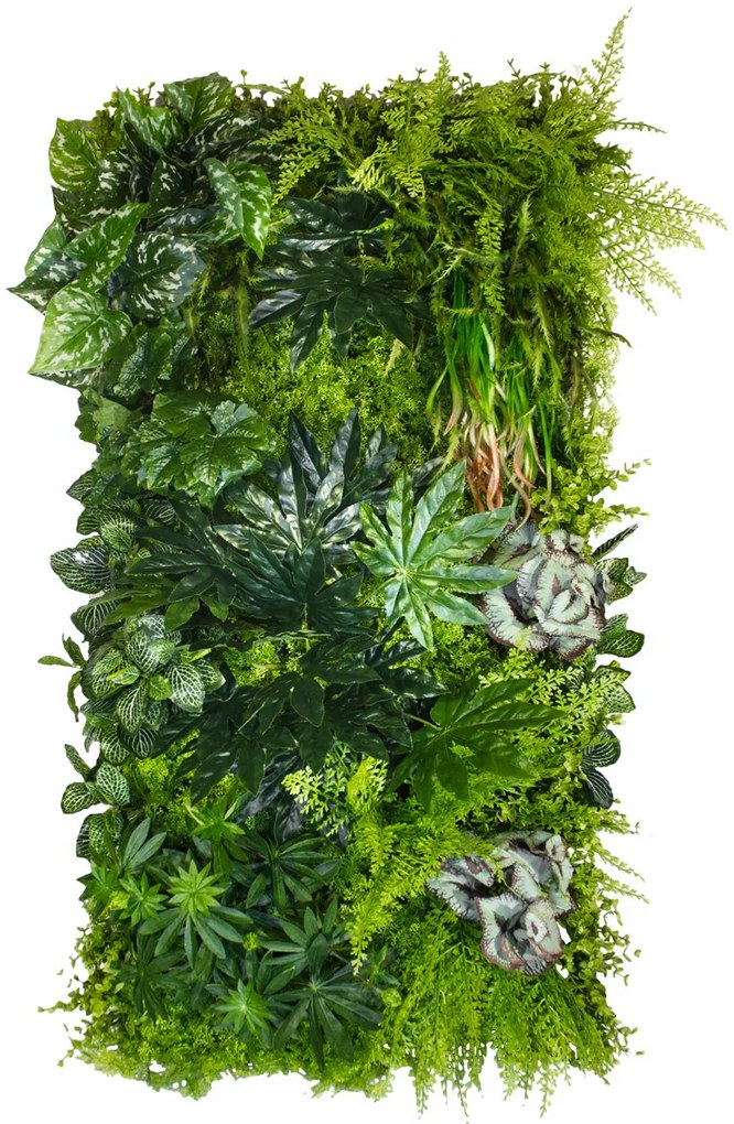 Vertikální zahrada Tropical 50x100