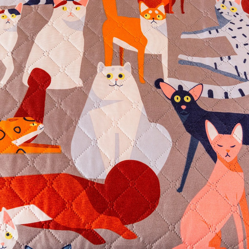 Přehoz na postel CATMOSPHERE, barevný Rozměr: 220 x 240 cm