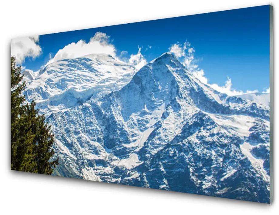 Obraz na skle Hora Strom Krajina 100x50 cm